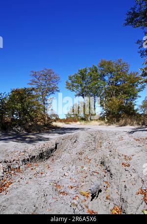 Rough track in Moremi Game Reserve, Botswana, dirt road in Moremi Game ...
