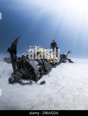 The model stands on a sunken ship. Honolulu, Hawaii: STUNNING photos ...