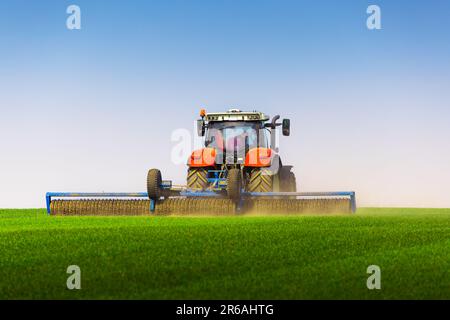 Tractor with a roller tillage on spring field. Soil rolling supports ...