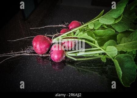 Raphamus rapanistrum,subsp sativus,edible root vegetable, commonly ...