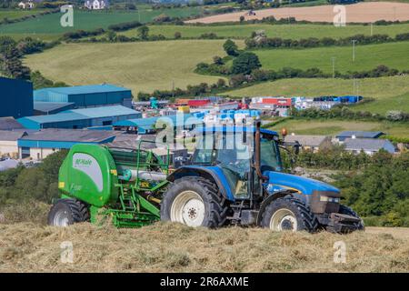 Making hay near Lisavaird, Co. Cork, in exceptional fine weather, June ...
