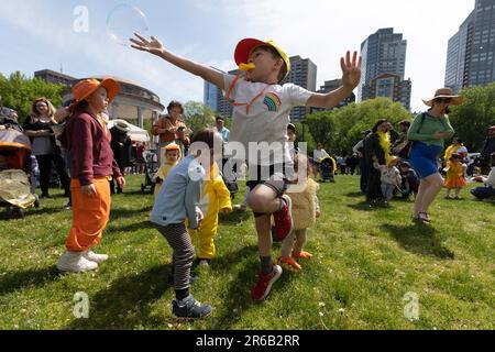 A crowd celebrates Duckling Day parade Boston Common Stock Photo - Alamy