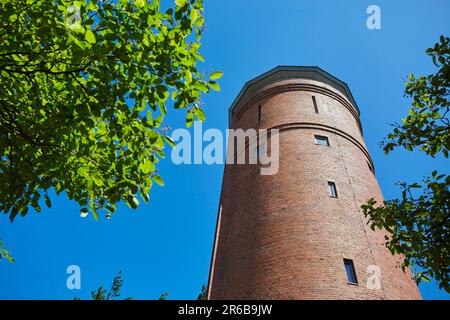 Grimmen an der Ostsee in Mecklenburg-Vorpommern, Deutschland ...