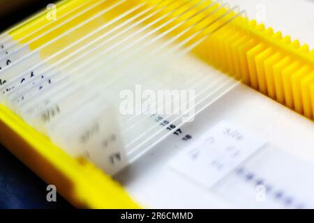 Glass microscope slide in a box, research glass microscope slide Stock ...