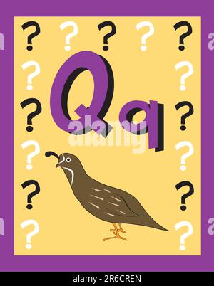 Flash Cards make great learning devices. Vector Illustration Stock ...