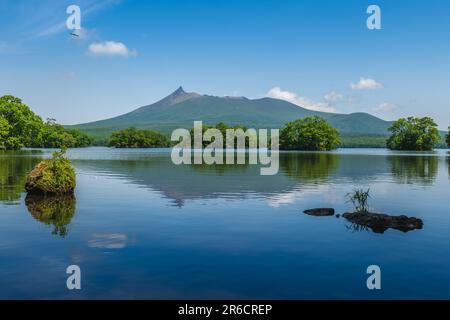 Onuma Koen Quasi -National park nature trail bridge in peaceful cold ...