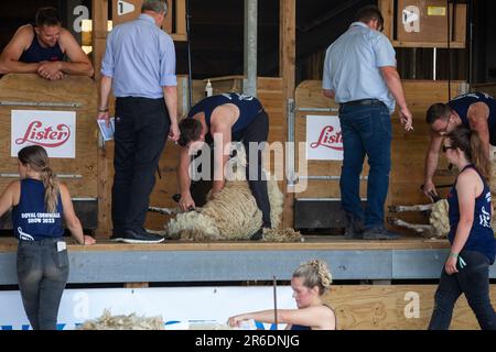Sheep shearing display at The Royal Cornwall Show, Wadebridge Stock ...
