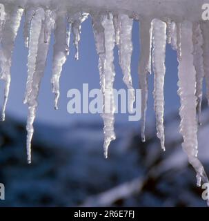 Winter landscape - snow and icicles on tree branches sparkle in the ...