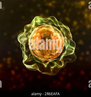 Balamuthia mandrillaris amoeba, computer illustration. This is the ...