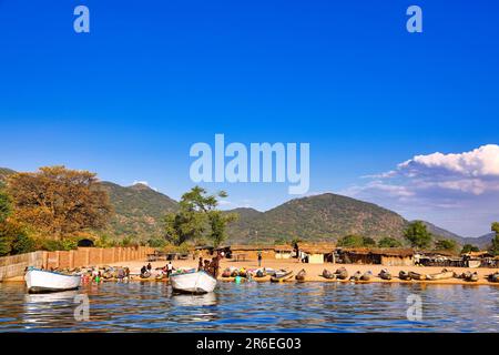 Leben am Malawi-See, Cape Mc Clear, Malawi Stock Photo - Alamy