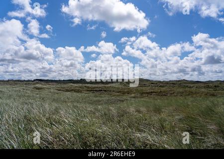 A dry clearing in Nationalpark Thy in Denmark Stock Photo - Alamy