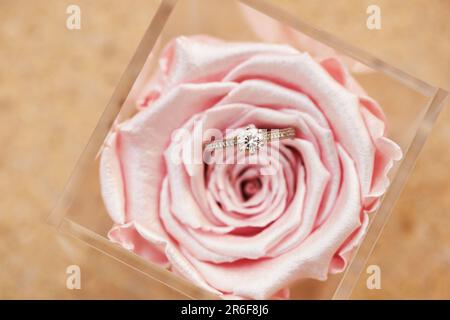 Beautiful engagement ring posd inside of pink metal colored rose Stock ...