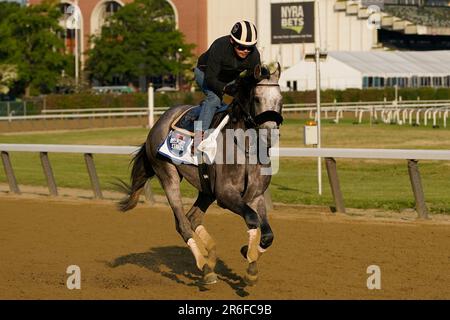 Arcangelo trains ahead of the Belmont Stakes horse race, Friday, June 9 ...
