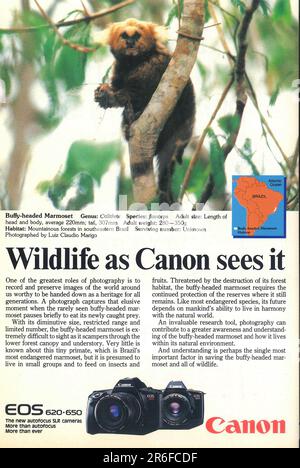 Canon EOS 650 cameras vintage paper advertisement Canon magazine advert ...