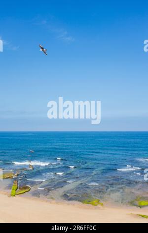 Praia do Sul e Praia da Baleia Ericeira Portugal Stock Photo - Alamy