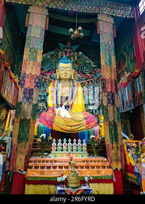 Lord Buddha Statue, Darjeeling, West Bengal, India, Asia Stock Photo ...
