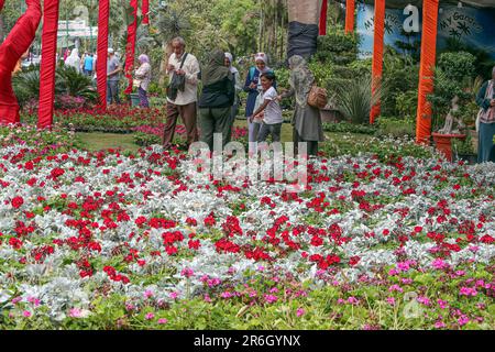 Cairo, Egypt. 3rd June, 2023. People visit the Spring Flowers ...