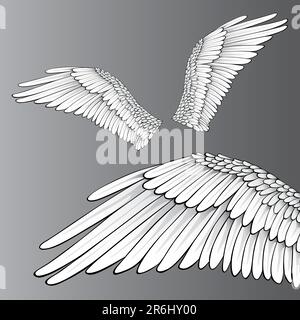 Wings (Realistic Illustration / Design Elements Stock Vector Image ...