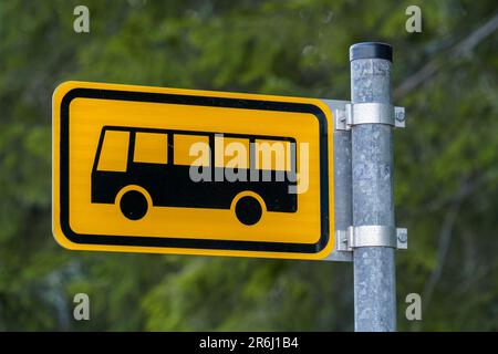 Yellow local bus stop sign in Finland, with green pine trees in the ...