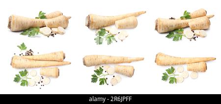 Collage with whole and cut parsley roots on white background Stock ...