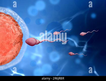 Sperm cells on blue background Stock Photo - Alamy