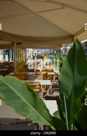 Aerial view of the promenade of Viareggio,Italy Stock Photo - Alamy
