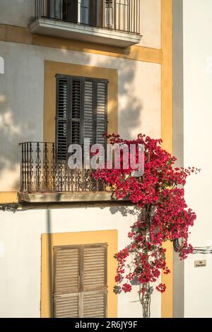Colorful old town houses climbing the historic Ribeira hillside along ...