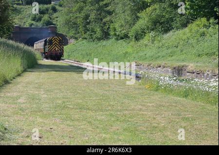 A class 09 diesel locomotive pulls two carriages Stock Photo - Alamy