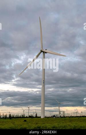 Wind farm, Tamil Nadu, South India, India, Asia Stock Photo - Alamy