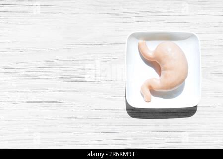 Miniature replica of the human stomach placed on a white tray, set on a ...