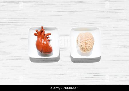 Human brain and heart, Medical, educational, anatomy and emotion ...