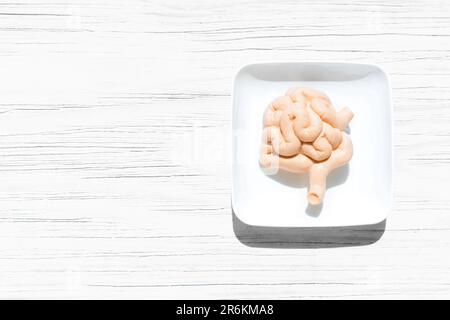 Toy replica of the human intestine placed on a white tray, set on a ...