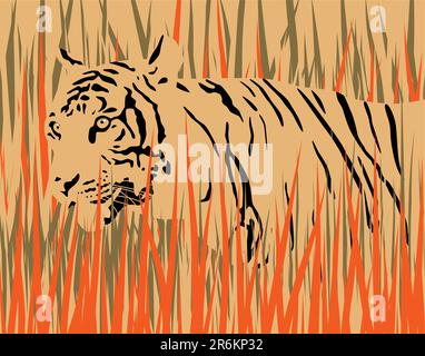 Vector illustration of a tiger in dry grass with tiger and grass as ...