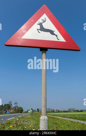 Dutch road sign: wild animals crossing Stock Photo - Alamy