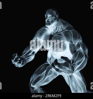 bodybuilder muscle maps is so angry in white background side view, 3d ...