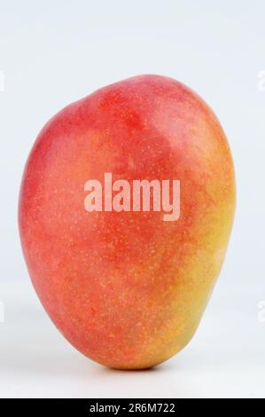 Yellow bright mango isolated on white Stock Photo - Alamy