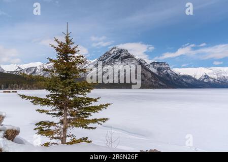 Spring time views in Banff National Park during April with snow ...