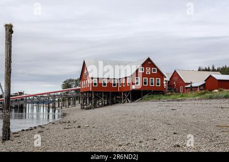 HOONAH, ALASKA, USA - AUGUST 16, 2021: The Hoonah Packing Company ...