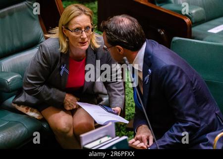 Victorian Opposition Leader Michael O'Brien speaks during question time ...