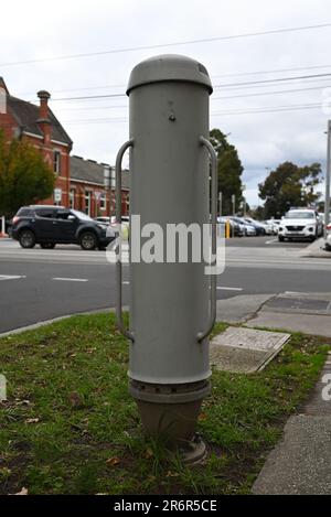 Telstra communication pillar on a suburban nature strip, guarded by a ...