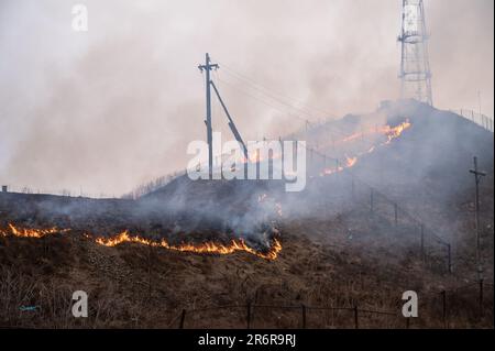 Dry grass burns during drought weather. Natural disaster Stock Photo ...