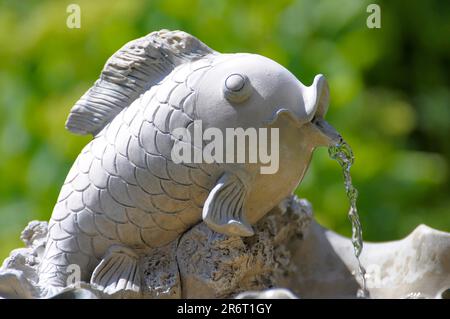 Small Garden Fountain in Fish Shape Stock Photo - Alamy