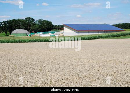 Biogas production and solar energy Stock Photo - Alamy