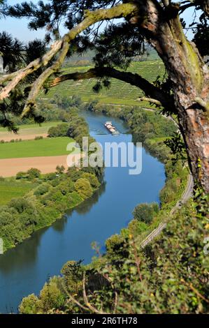 View from Besigheim rock garden, river: Neckar, river tug with sand ...