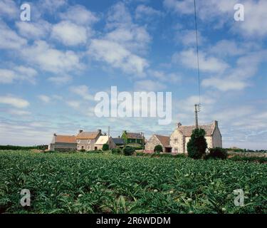 Old French farmhouse Normandy Stock Photo - Alamy