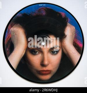 Seven inch picture disc vinyl version of Out of Sight Out of Mind by ...