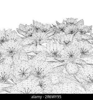 Wireframe flowers decoration on white background. Black wireframe of ...