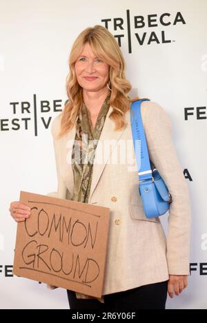 Laura Dern attends the NY Premiere of "Marriage Story" at the Paris ...