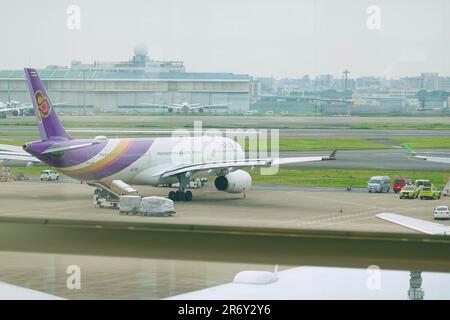 Thai Airways Flight TG683 (A330-300, Reg, HS-TEO), which collided with ...