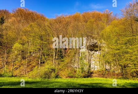 Saspowska Valley nature park and reserve along Saspowka creek in spring ...